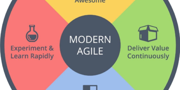 Agile Methodology Training – Princeton Training